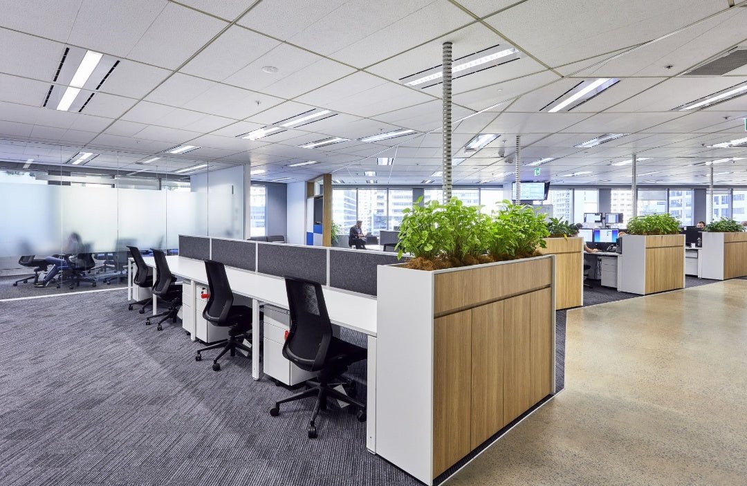 LED Linear Light and Suspended Ceiling