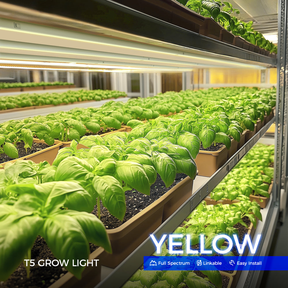 Barrina T5 20W LED Grow Light 4FT Yellow Light | Full Spectrum & Linka