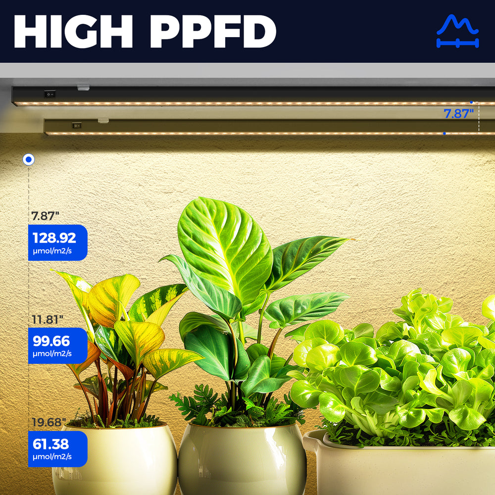 T5 Series Grow Lights - Barrina Collection