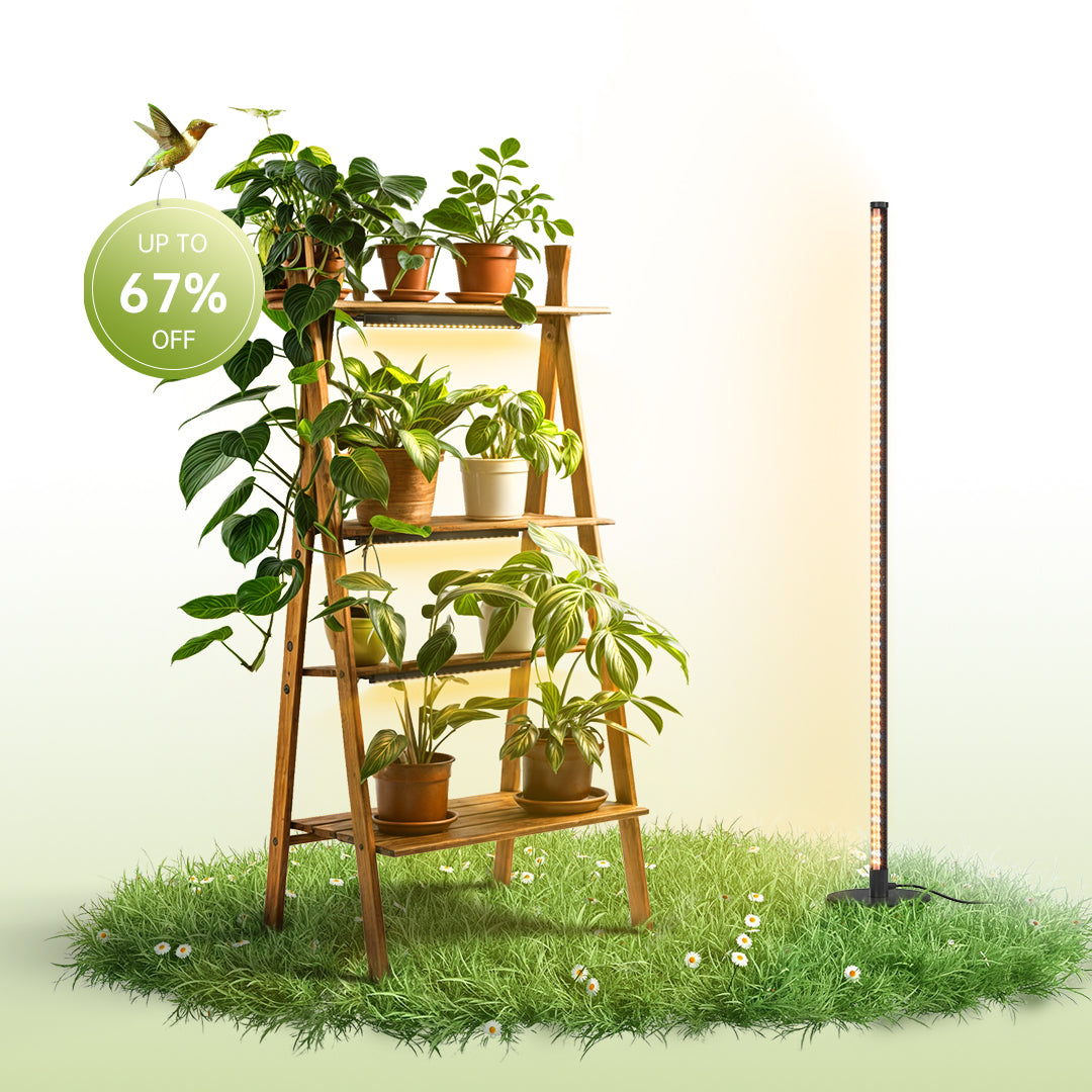 Barrina Lighting Company Best price-quality LED