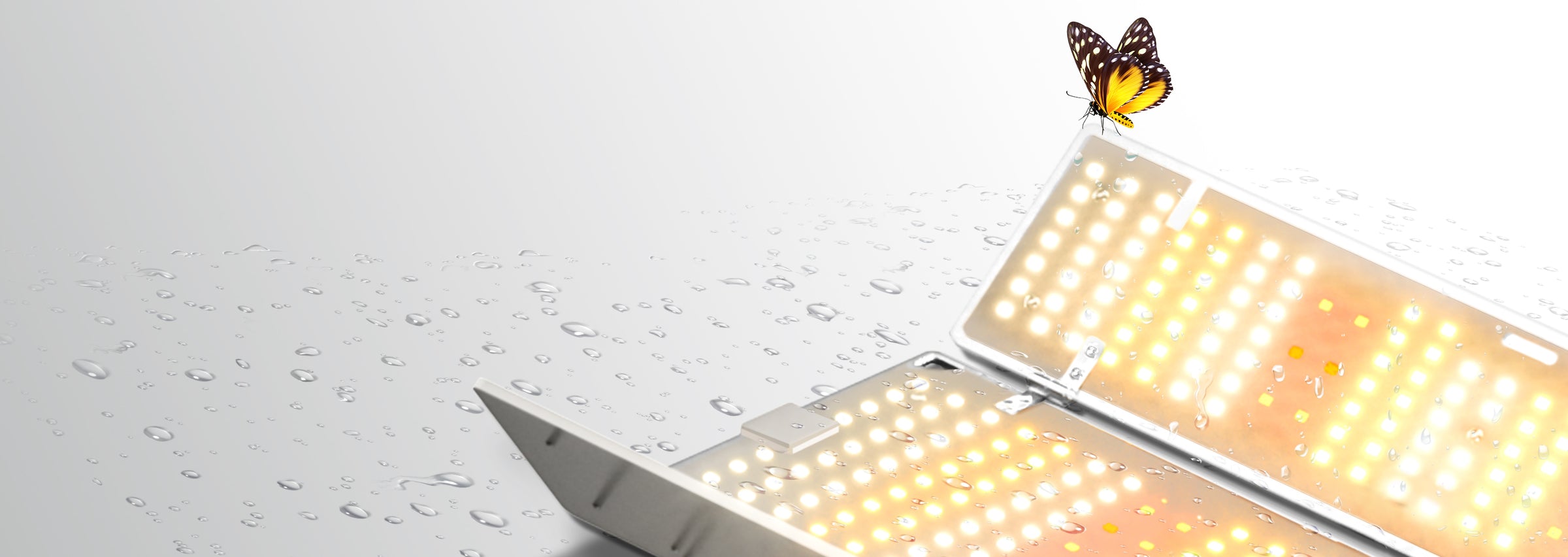 Barrina Lighting Company Best price-quality LED