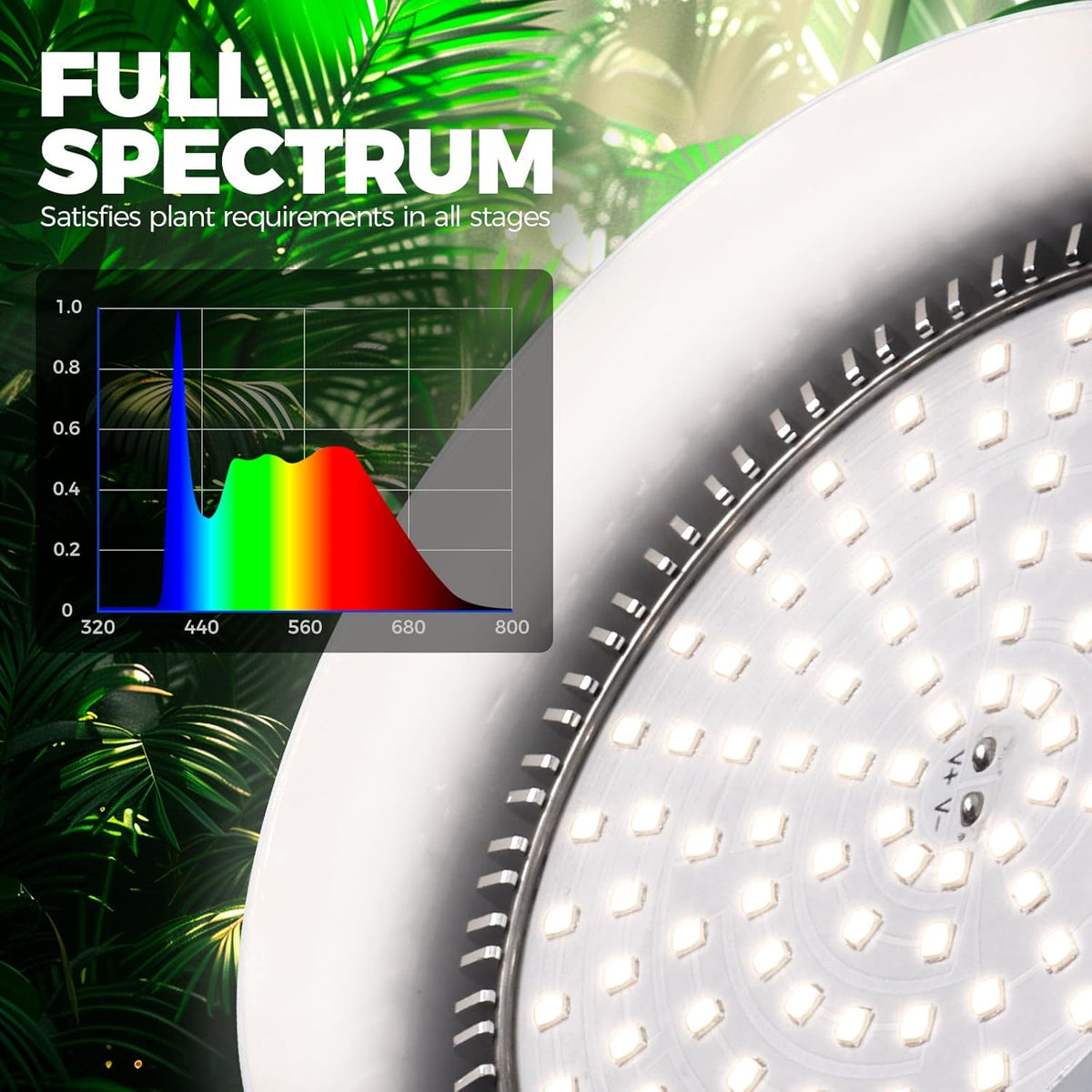 Barrina PAR38 25W LED Grow Light Bulb 5000K | Full Spectrum, Hanging