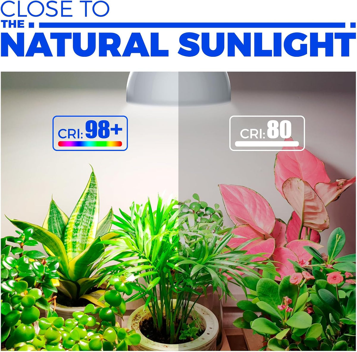 Barrina PAR38 25W LED Grow Light Bulb 5000K | Full Spectrum, Hanging