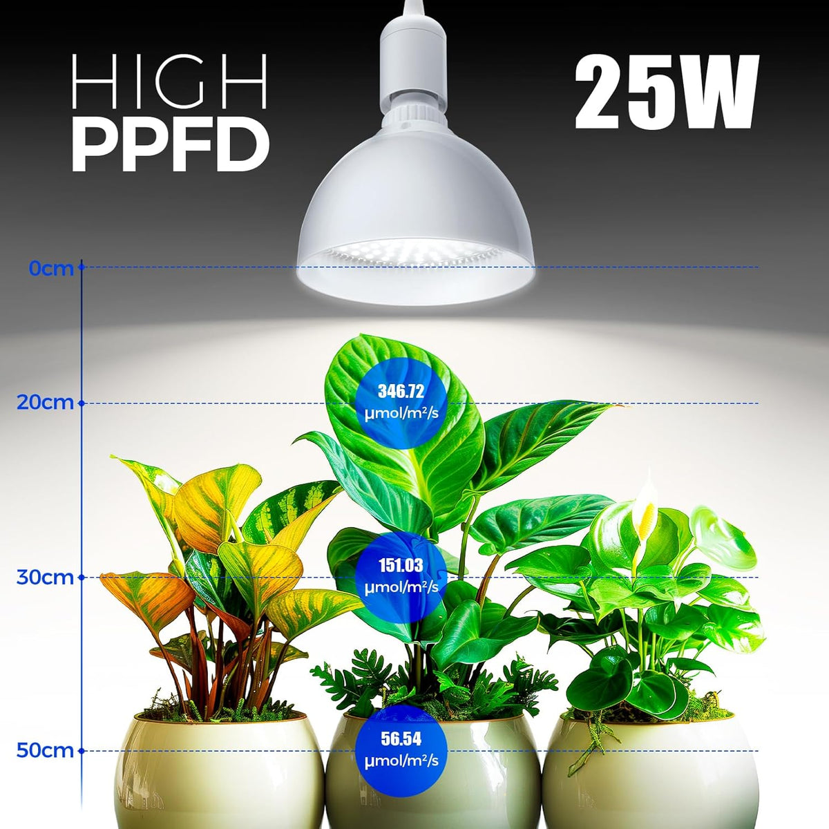 Barrina PAR38 25W LED Grow Light Bulb 5000K | Full Spectrum, Hanging