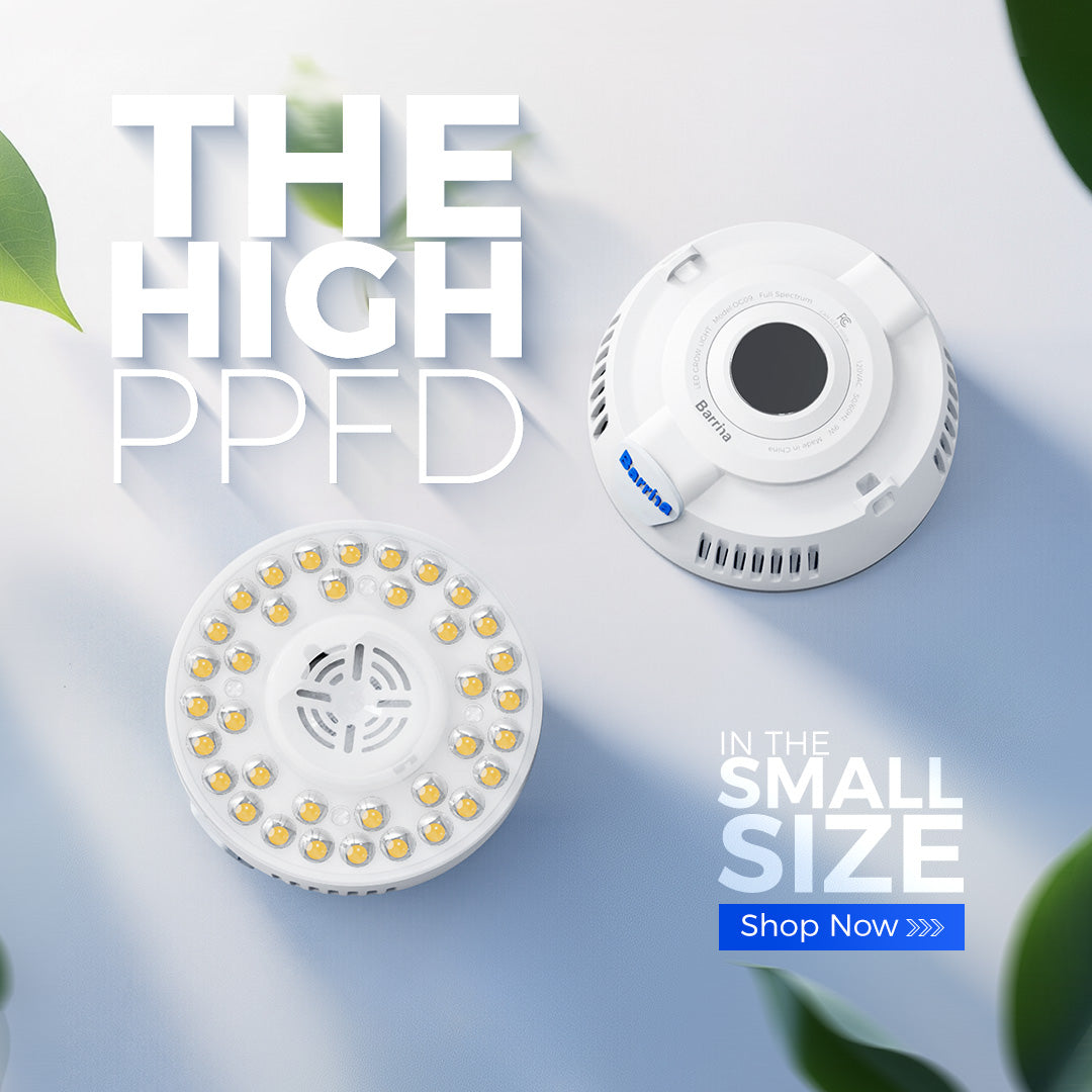 Barrina - #1 in T5 & T8 LED Fixtures, Grow Lights & Shop Lights